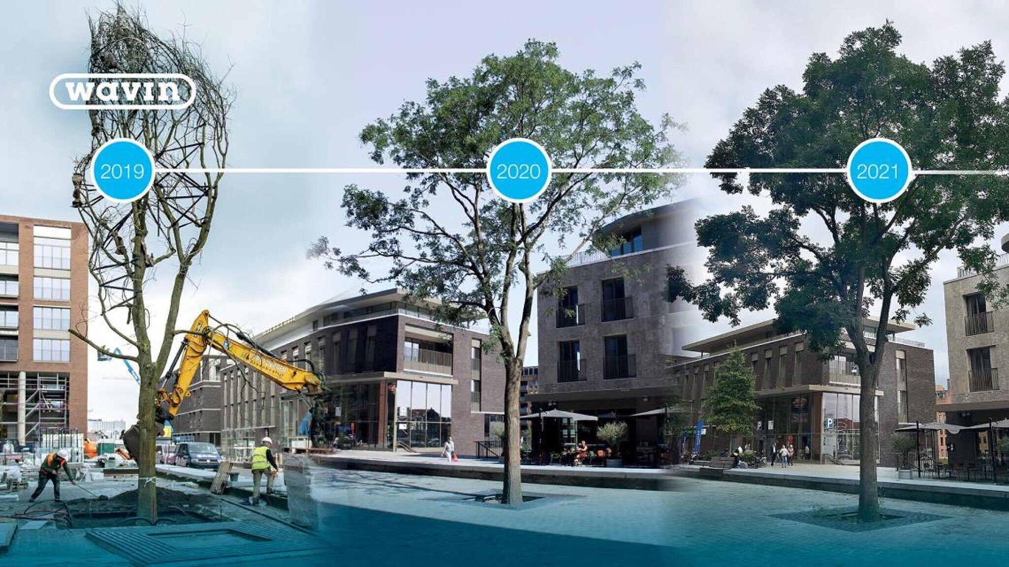 The Compelling Case For Retaining Trees In New Developments